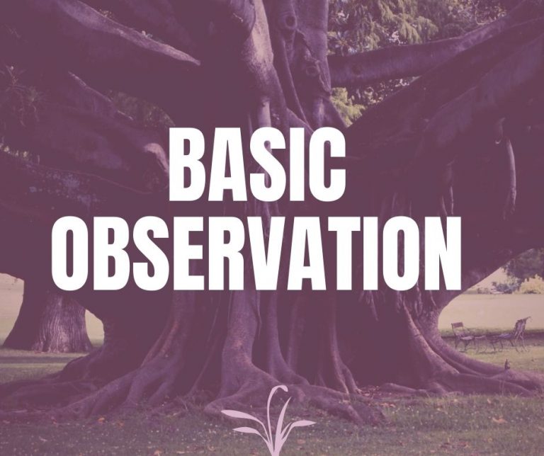Basic Observation - Verrolyne Training